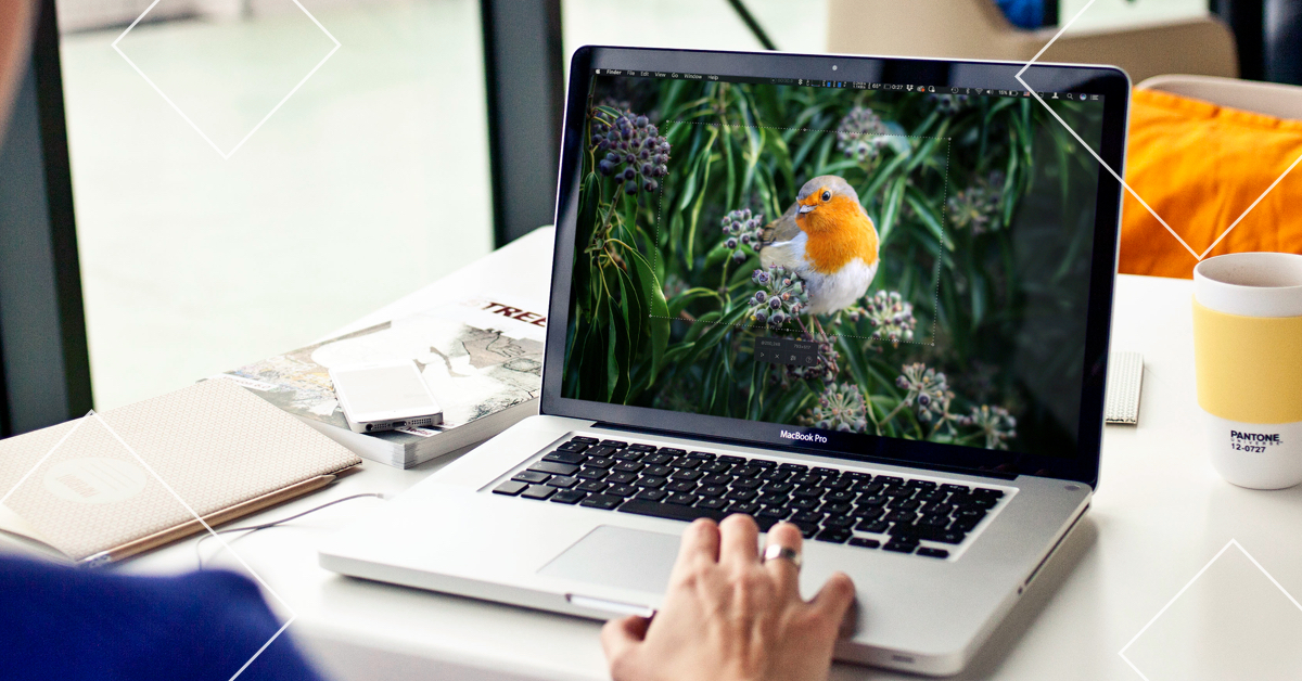 How To Make An Animated GIF