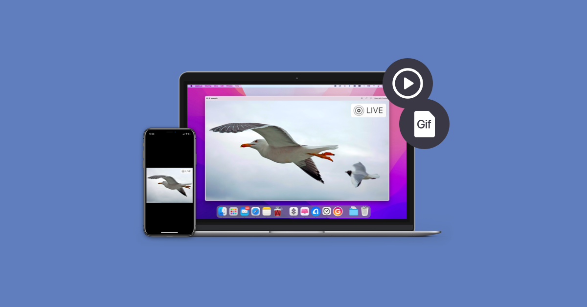 How To Make A Video A Live Photo On Mac And IPhone