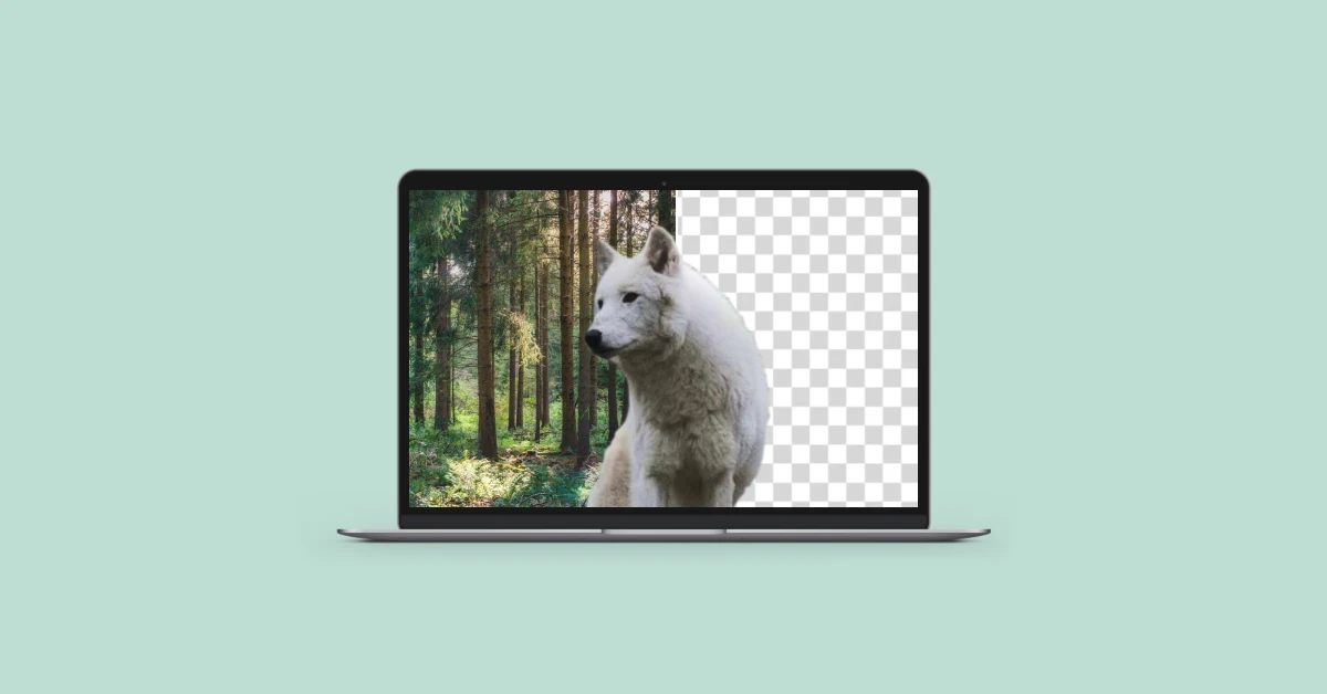 How to remove background from image on Mac and iOS